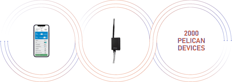 The Network - Pelican Wireless Systems